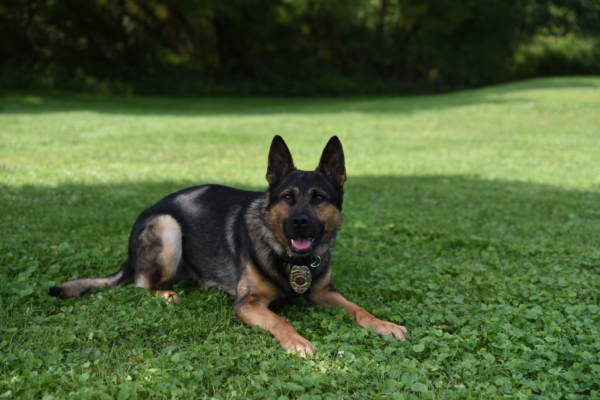 Personnel - Canfield Police Department