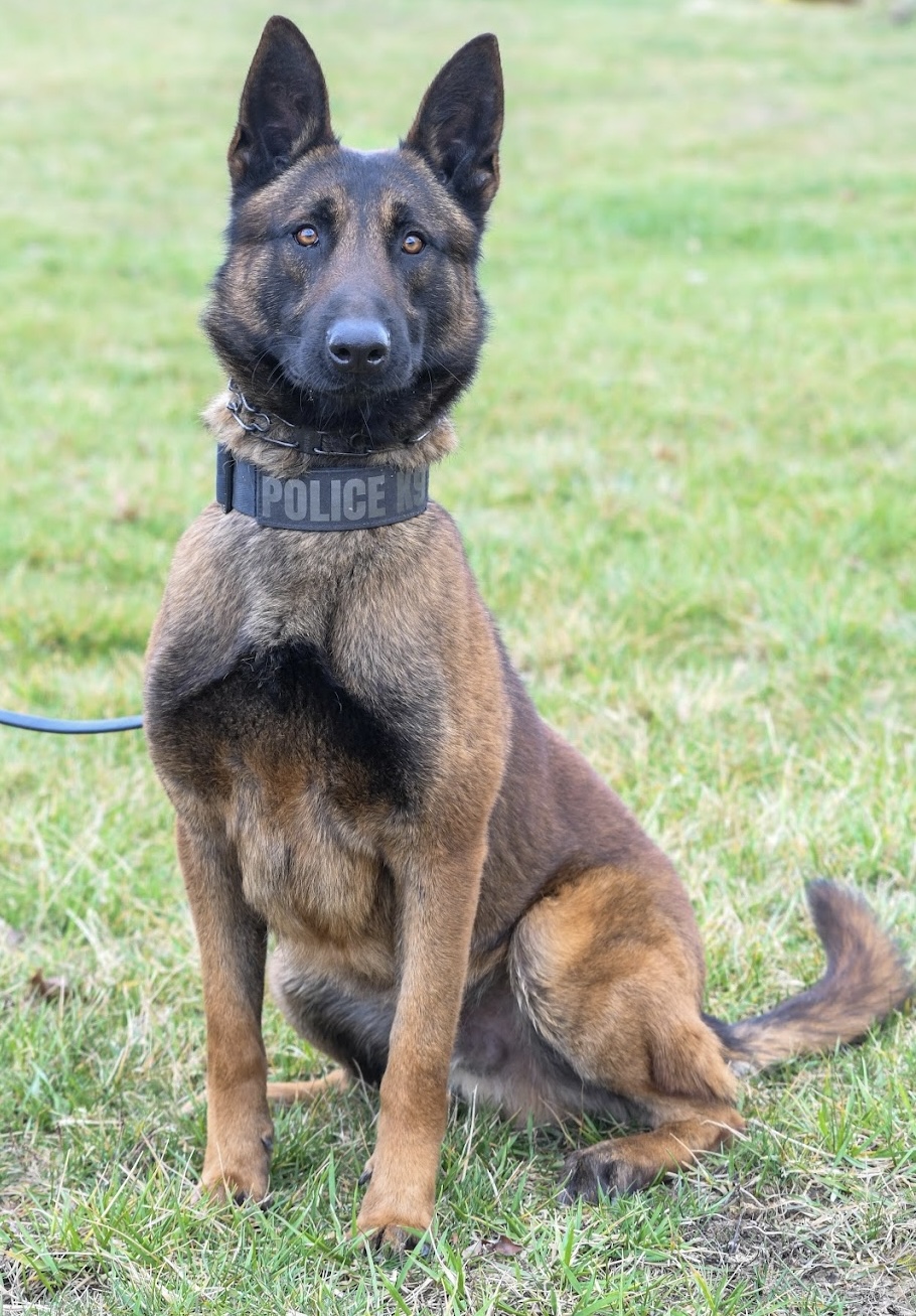Personnel - Canfield Police Department