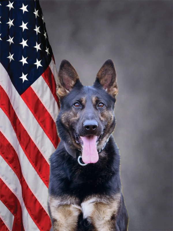 Personnel - Canfield Police Department