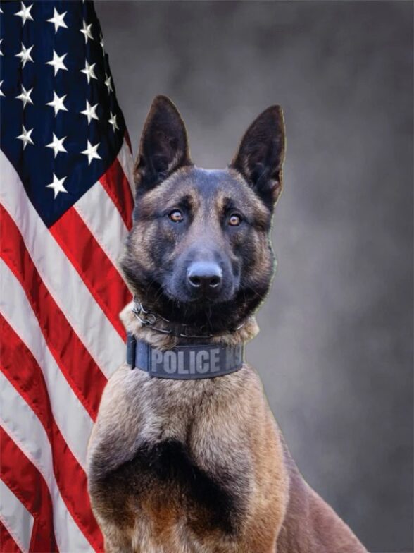 Personnel - Canfield Police Department